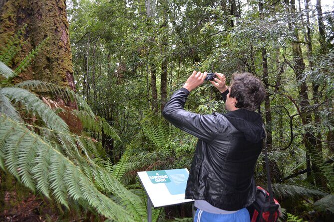 Hobart Shore Excursion Private Tour - What’s Included and What’s Not