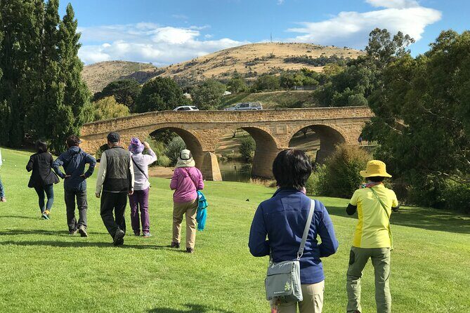 Hobart Shore Excursion Private Tour - Price and Value
