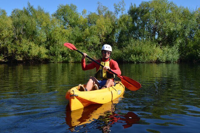 Hobart Shore Excursion Private Tour - Authentic Experiences and Local Expertise