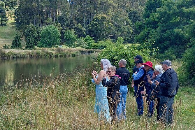 Hobart Shore Excursion Private Tour - Who Will Enjoy This Tour?