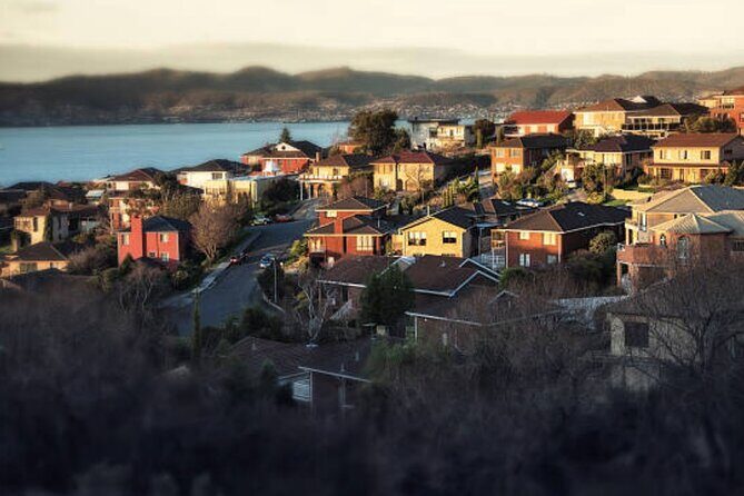 Hobart Shore Excursion: Small Group Mount Wellington 3-Hour Bike Tour - Authentic Experiences and Feedback