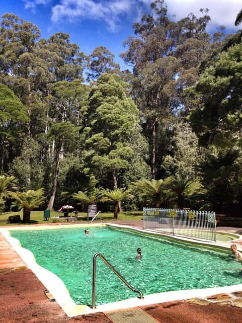 Hobart: Tahune Airwalk & Hastings Caves - Active Day Tour - Practicalities and Value