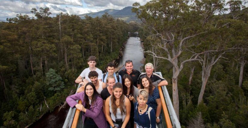 Hobart: Tahune Airwalk & Hastings Caves - Active Day Tour - Who Will Love This Tour?