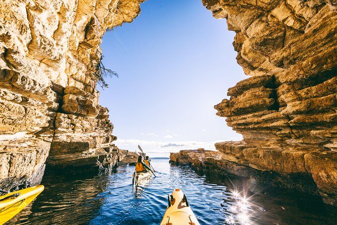 Hobart's Cliffs, Caves and Beaches Kayak Tour - Key Points