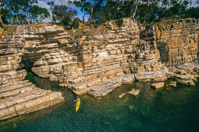Hobart's Cliffs, Caves and Beaches Kayak Tour - Who Will Love This Experience?
