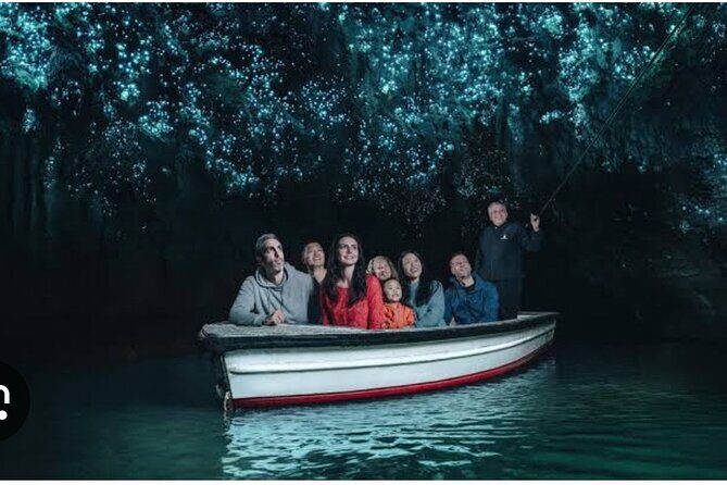 Hobbiton and Waitomo Caves Arrive in Comfort and Style - What to Expect from This Day Tour
