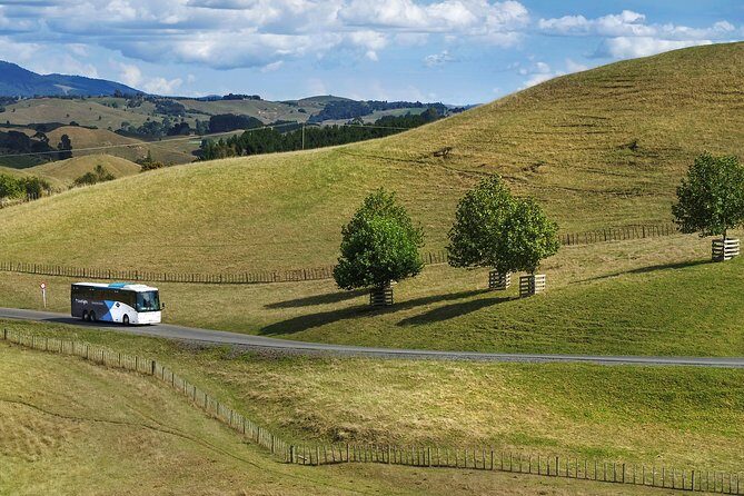Hobbiton Day Tour from Rotorua with lunch at Hobbiton - In-Depth Review of the Hobbiton Day Tour