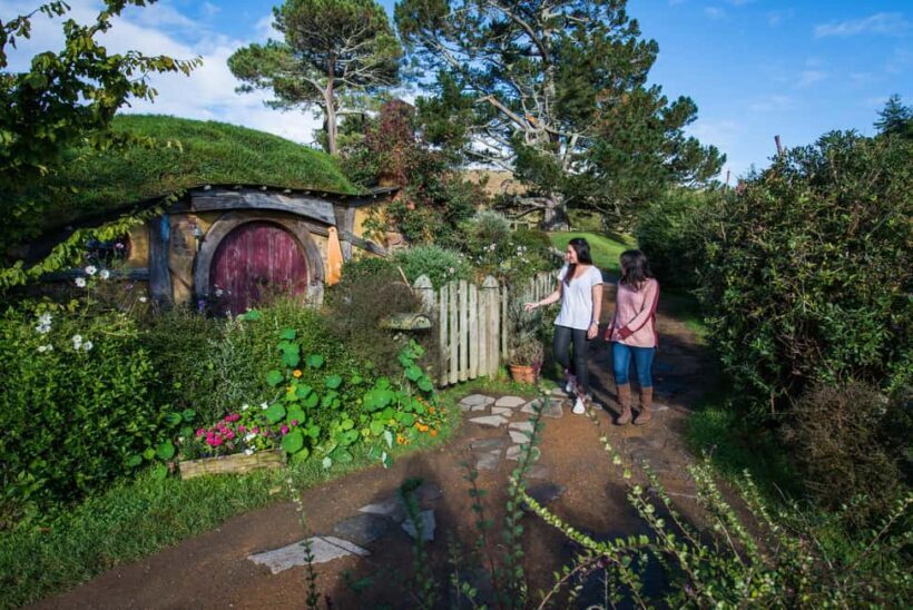 Hobbiton Movie Set & Te Puia Geothermal Valley Private Tour - Evaluating the Value