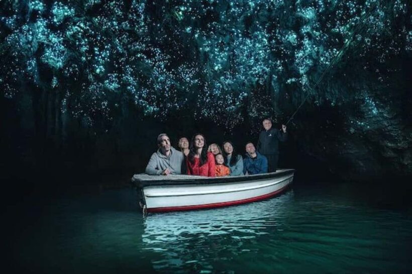 Hobbiton Movie Set Tour to Blue Springs and Waitomo caves - Practical Details and Value