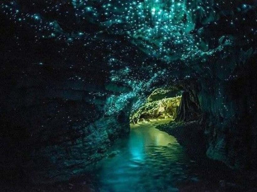 Hobbiton Movie Set Tour to Blue Springs and Waitomo caves - What Travelers Are Saying