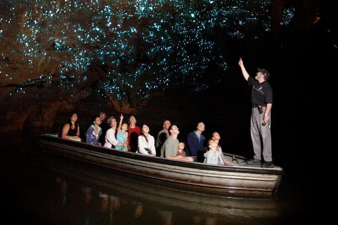 Hobbiton & Waitomo Caves Exclusive Luxury Day Tour From Auckland - Introduction: A Dream Day for Fans and Curious Travelers