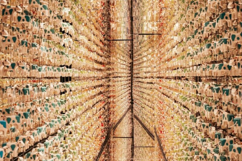 Hofstetten Near Brienz: Trauffer Adventure World Ticket - Key Points