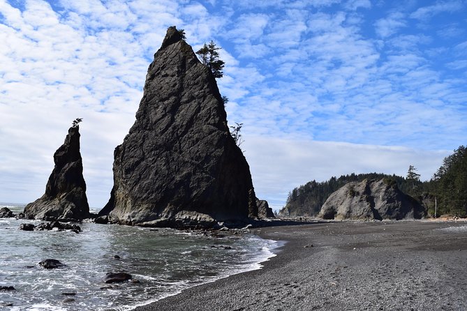 Hoh Rain Forest and Rialto Beach Guided Tour in Olympic National Park - Itinerary Details