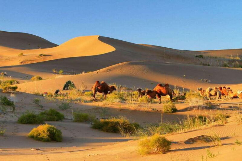 Hohhot: 6-Day Private Tour to Huitengxile and Kubuqi Desert - Practicalities and Value