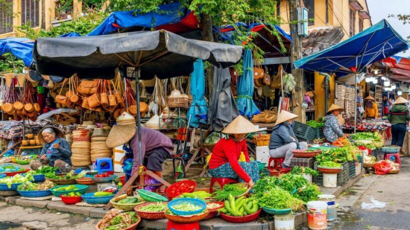 Hoi An: Authentic Cooking class in organic Herb Village - An In-Depth Look at the Experience