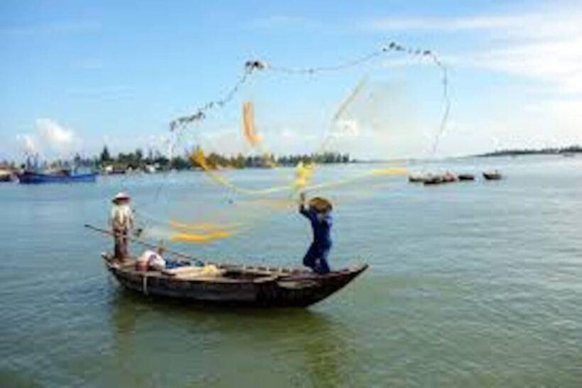 Hoi An: Basket Boat Ride in the Coconut Forest - Hoi An: Basket Boat Ride in the Coconut Forest