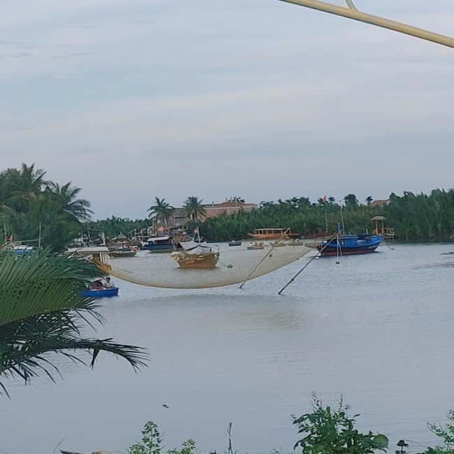 Hoi An: Basket Boat Ride in the Coconut Forest - Practical Tips for Travelers