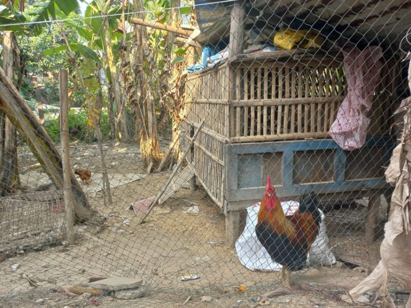 Hoi An : Basket Boat , River Cruise and Making Lantern Class - Key Points