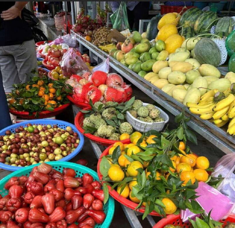 Hoi An: Basket Boat Tour with Hotel Pickup and Lunch by Hang - Introduction