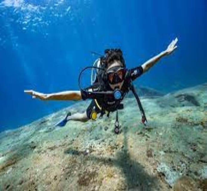 Hoi An: Cham Island Discover Scuba Dive for Beginner 1-Day - Authentic Experiences from Others