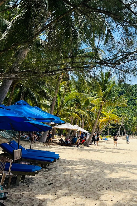 Hoi An: Cham Island Snorkeling or Underwater Walking Tour - Transportation and Group Size