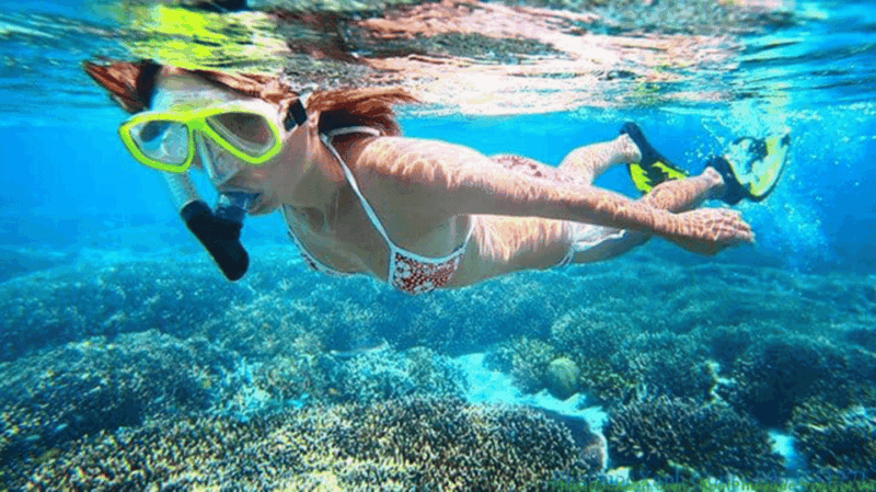 Hoi An: Cham Island Snorkeling or Underwater Walking Tour - Who This Tour Is Best For