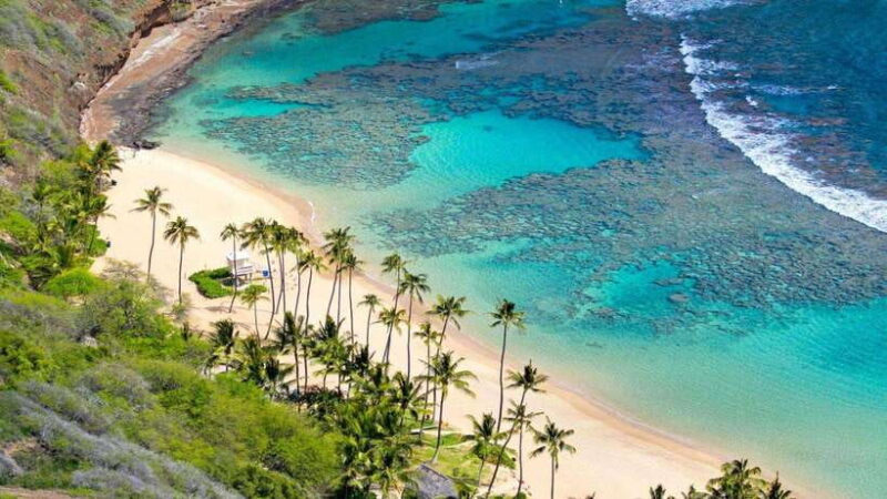 Hoi An: Cham Island Speedboat Day Trip - What to Expect: Transportation, Food, and Group Dynamics