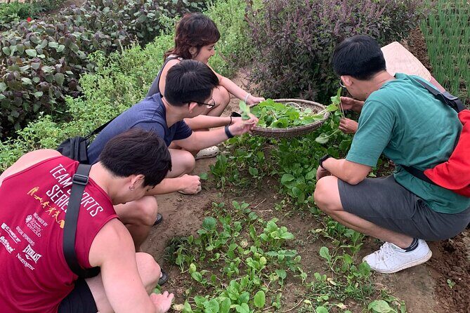 Hoi An Cooking Class at Tra Que Vegetable Village - Key Points