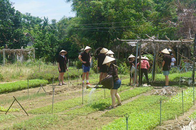 Hoi An cooking class - Final Thoughts: Is It Worth It?