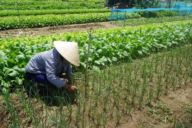 Hoi An cooking class - FAQ