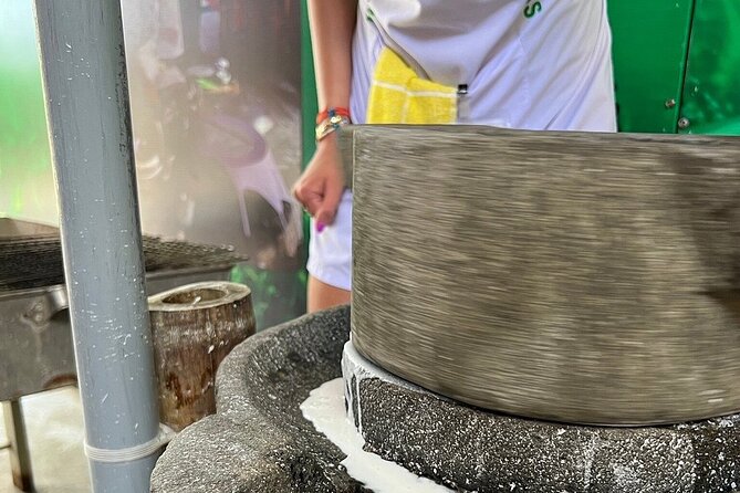 Hoi An cooking class with Basket Boat Tour - Final Thoughts