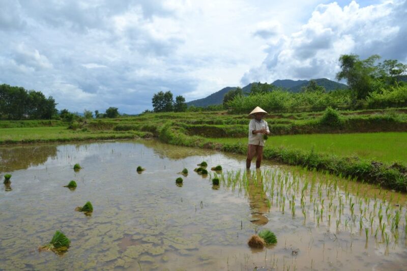 Hoi An Countryside Bicycle Tour : 25 Km Real Vietnam - Key Points
