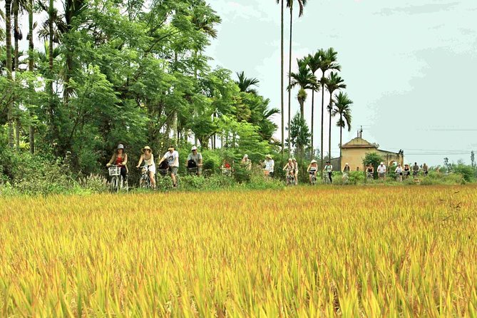 Hoi An Countryside bike tour to Kim Bong village - Who is This Tour Best For?