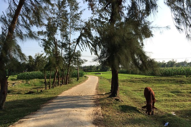 Hoi An Countryside bike tour to Kim Bong village - Frequently Asked Questions (FAQs)