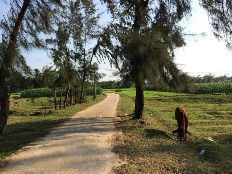 Hoi An: Countryside bike tour to Kim Bong village - Who Will Love This Tour?