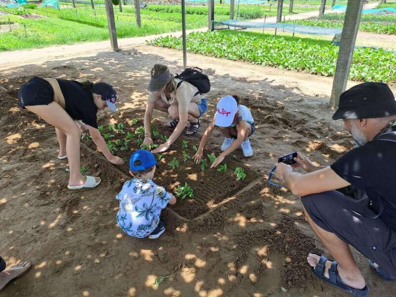 Hoi An Countryside: Biking, basket boat, herb garden, foods - FAQ