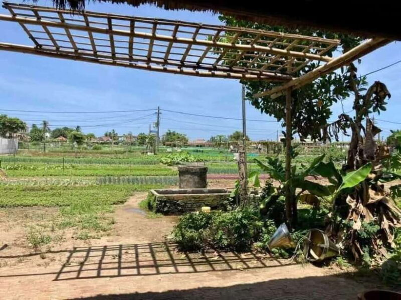 Hoi An: Countryside Biking- Cooking Class in Tra Que Village - Practical Considerations