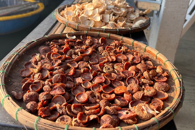 Hoi An countryside biking tour, water buffalo+ basket boat ride - The Sum Up