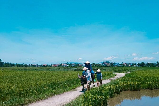 Hoi An Countryside - Buffalo Riding - Basket Boat Rowing - Frequently Asked Questions