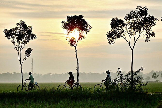 Hoi An Countryside By Bike - Who Should Book This Tour?