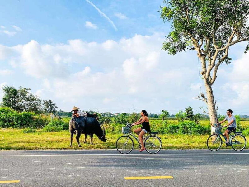 Hoi An: Countryside Cycling Tour With Local Life Insights - Authentic Encounters and Local Life