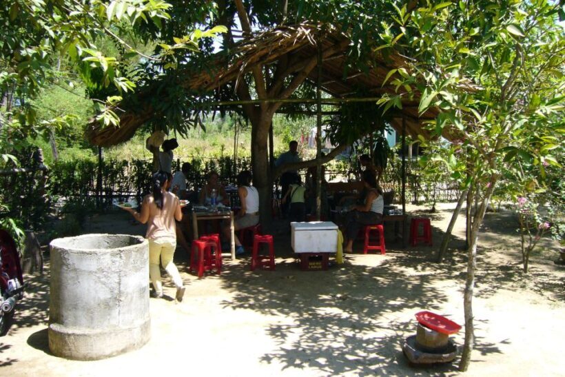 Hoi An Countryside: Guided Morning or Afternoon Bicycle Tour - Key Points