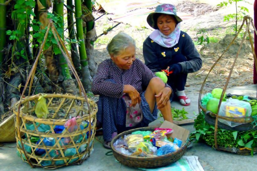 Hoi An Countryside: Guided Morning or Afternoon Bicycle Tour - An In-Depth Look at the Experience