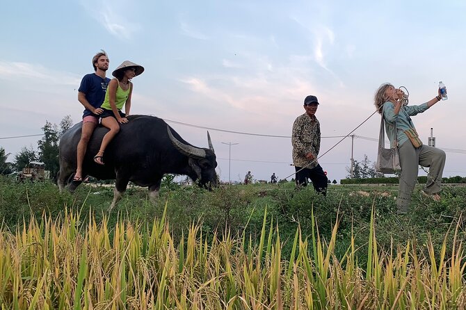 Hoi An Countryside Private Tour - Highlights and Hidden Gems - Final Thoughts: Who Is This Tour Best For?