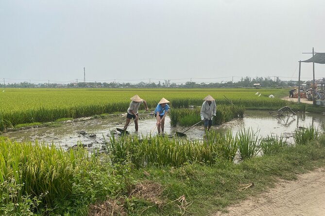 Hoi An Countryside Vespa Tour: Food, Culture & Daily Life - FAQs