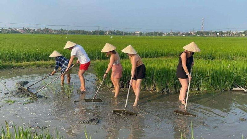 Hoi An: Cycling, buffalo riding,be a Farmer and Fisher man - Practical Details and Considerations