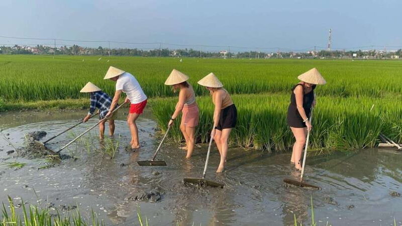 Hoi An: Cycling, buffalo riding,be a Farmer and Fisher man - Final Thoughts