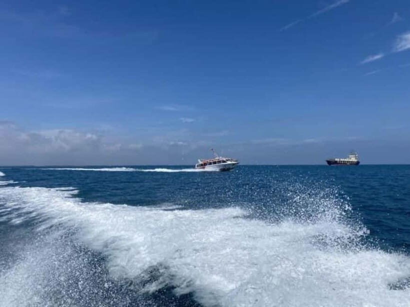 Hoi An/Da Nang: Cham Island Day Trip with Snorkeling - What’s Included & What You Should Consider
