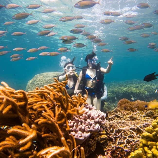 Hoi An/Da Nang: Cham Island & Snorkeling with tropical fish - What’s Included and What’s Not