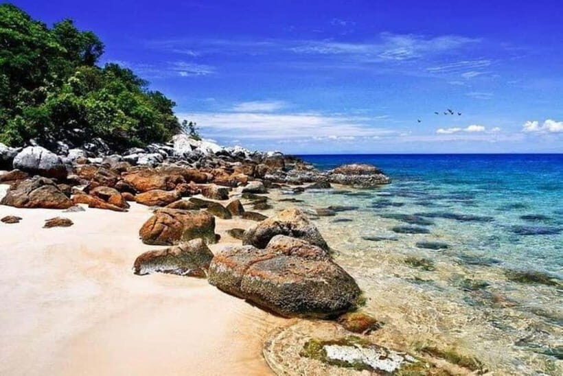 Hoi An/Da Nang: Cham Island & Snorkeling with tropical fish - Authentic Experiences That Stand Out